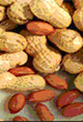 Peanut Power