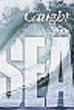 Caught by the Sea Book Review