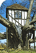 Treehouses | Swiss Family Treehouse | Tarzan's Treehouse | Disneyland ...
