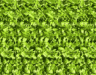 Magic Eye Explained | Stereogram | Stereographs | Art | 3-D | Three ...