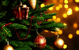 The History of the Christmas Tree | Tradition | Holiday | Season | Fir
