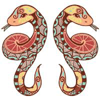 What zodiac sign is known for their duality?